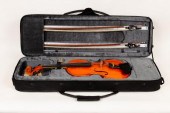 VIOLINS | Pricing Guides Dictionary & Values