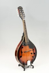 VINTAGE MANDOLIN | Pricing Guides Dictionary & Values