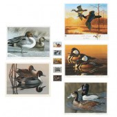 DUCK STAMP PRINTS | Pricing Guides Dictionary & Values