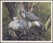 OWEN GROMME PRINTS | Pricing Guides Dictionary & Values